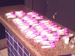 O Grito da Juventude: Loló droga do Momento